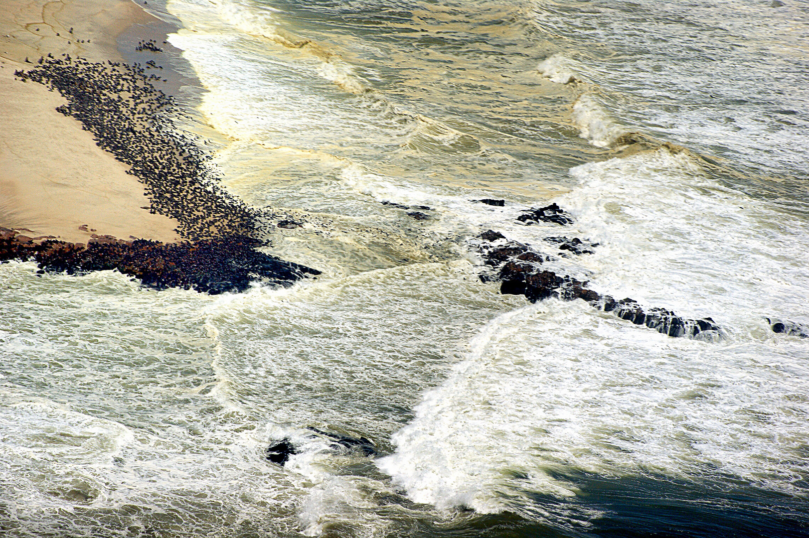 Cape Cross 3 Foto & Bild | africa, southern africa, namibia Bilder auf ...