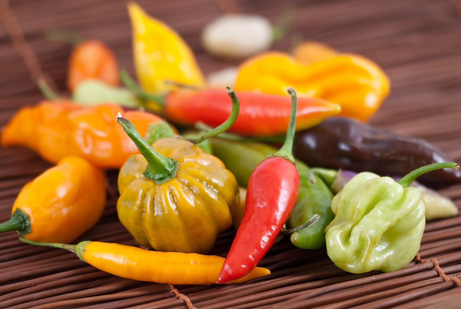 Capsicum chinense - verschiedene Chilisorten Foto & Bild | pflanzen ...
