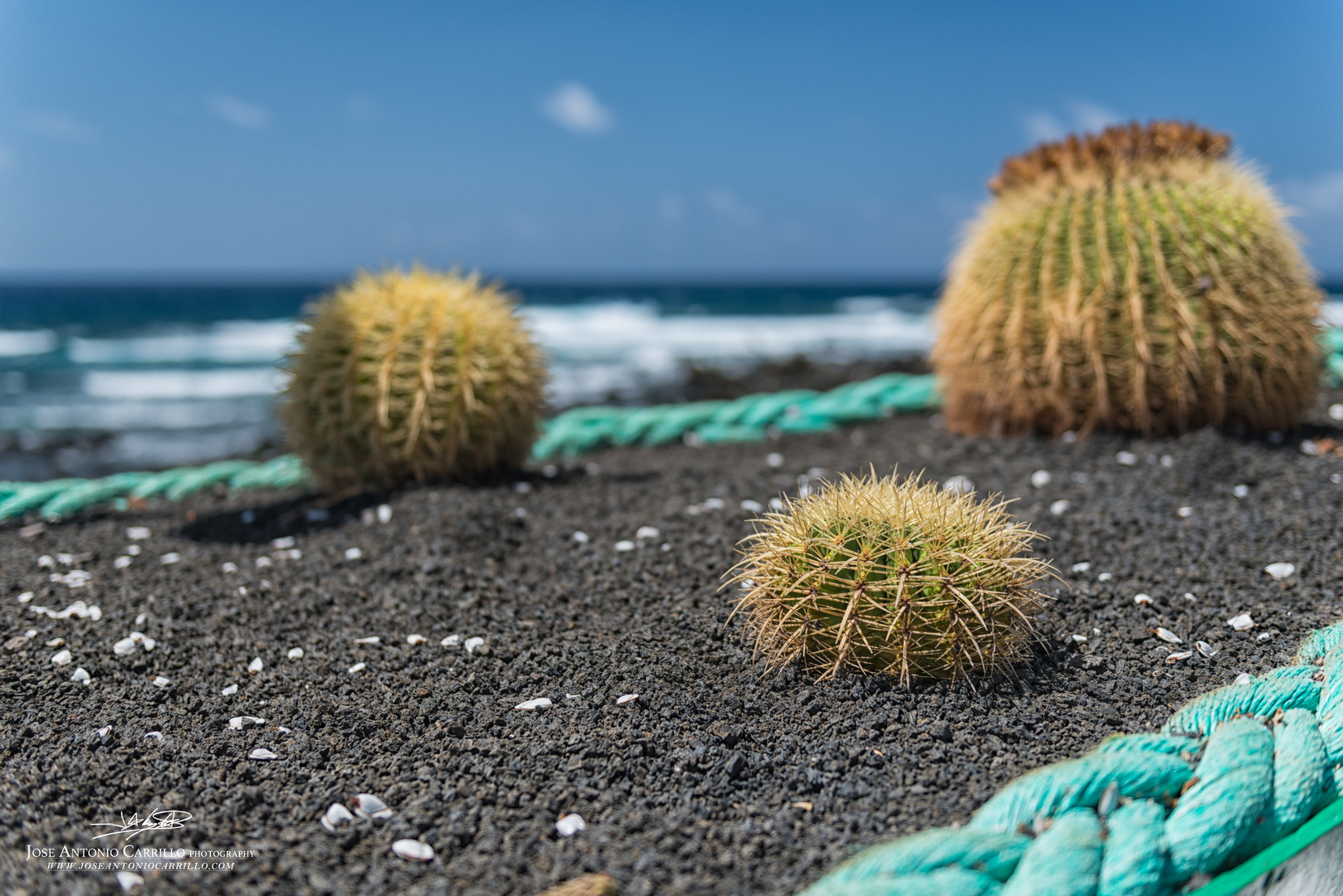 Captus & sea Imagen & Foto | elementos , blue, beach Fotos de fotocommunity