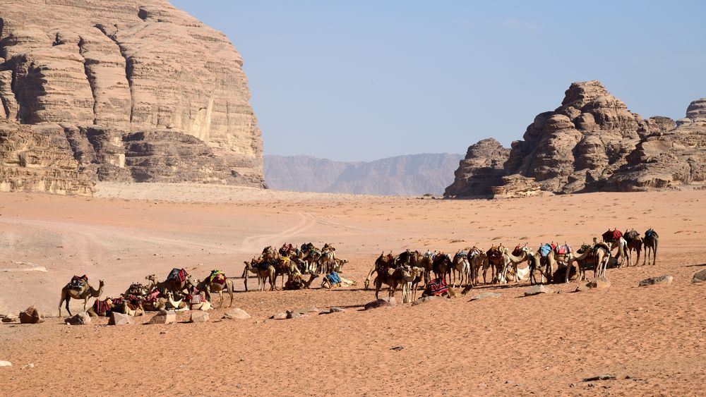 Caravan Foto & Bild | asia, middle east, tiere Bilder auf fotocommunity