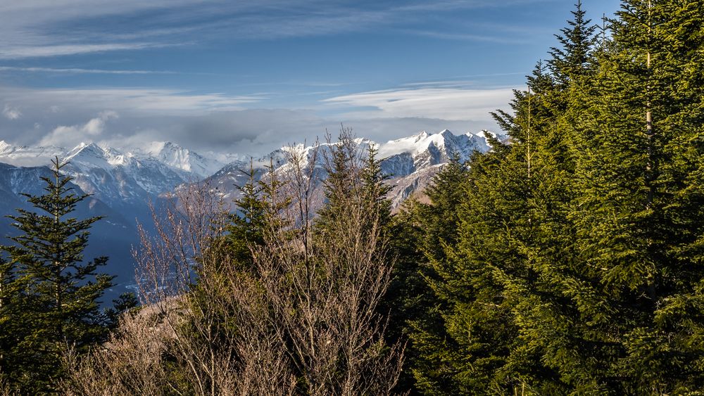 Cardada Cimetta... Foto & Bild | landschaft, berge, wald Bilder auf ...