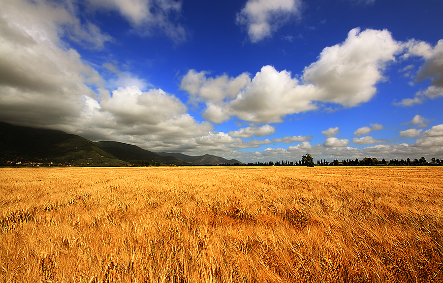 Immagini Estive Di Campagna Le Dépendance Per Le Vacanze Estive,