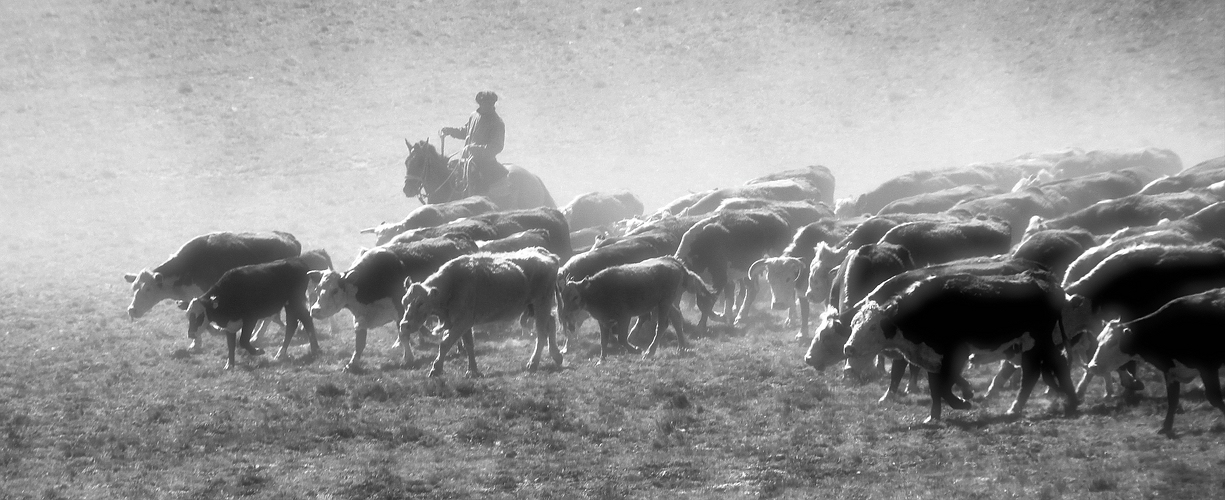 CARLOS WAYNE Foto & Bild | spezial, monochrome fine art, patagonien ...