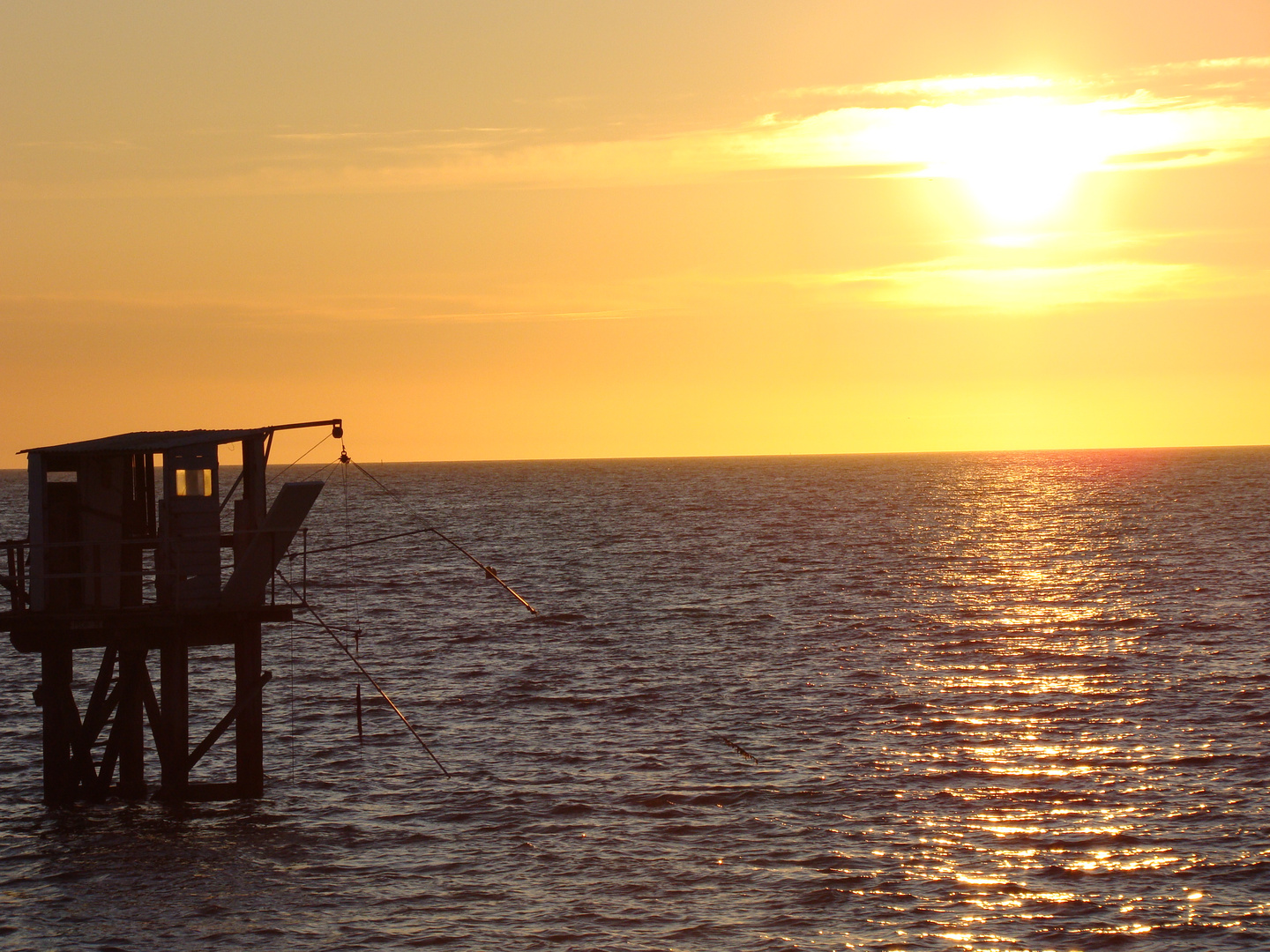 Carrelet photo et image | paysages, mers et océans, nature Images ...