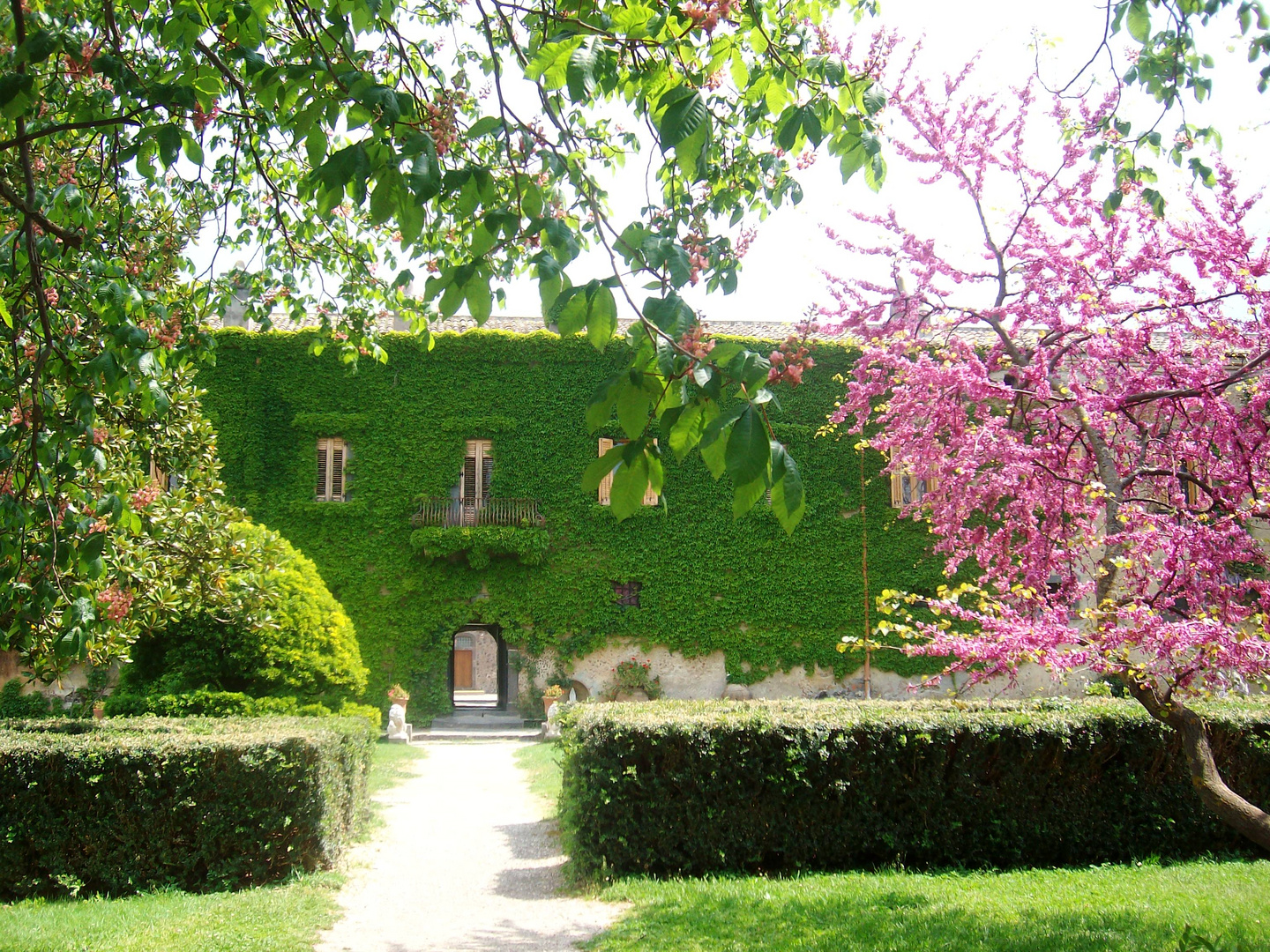 castello Nelson, Maniace- Bronte Foto % Immagini| paesaggi, natura Foto ...