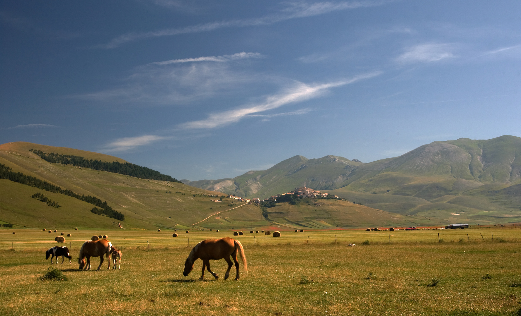 Castelluccio Foto % Immagini| paesaggi, natura Foto su fotocommunity