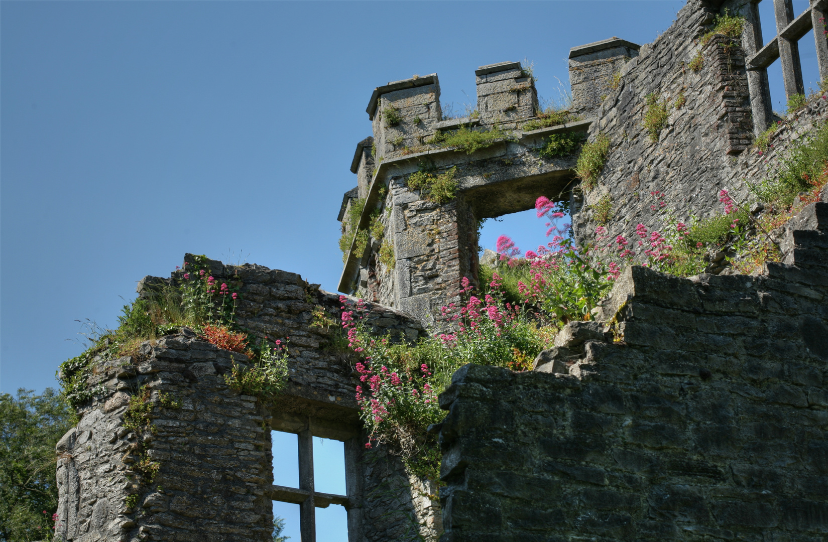 Castle Mallow Foto & Bild | europe, united kingdom & ireland, ireland ...