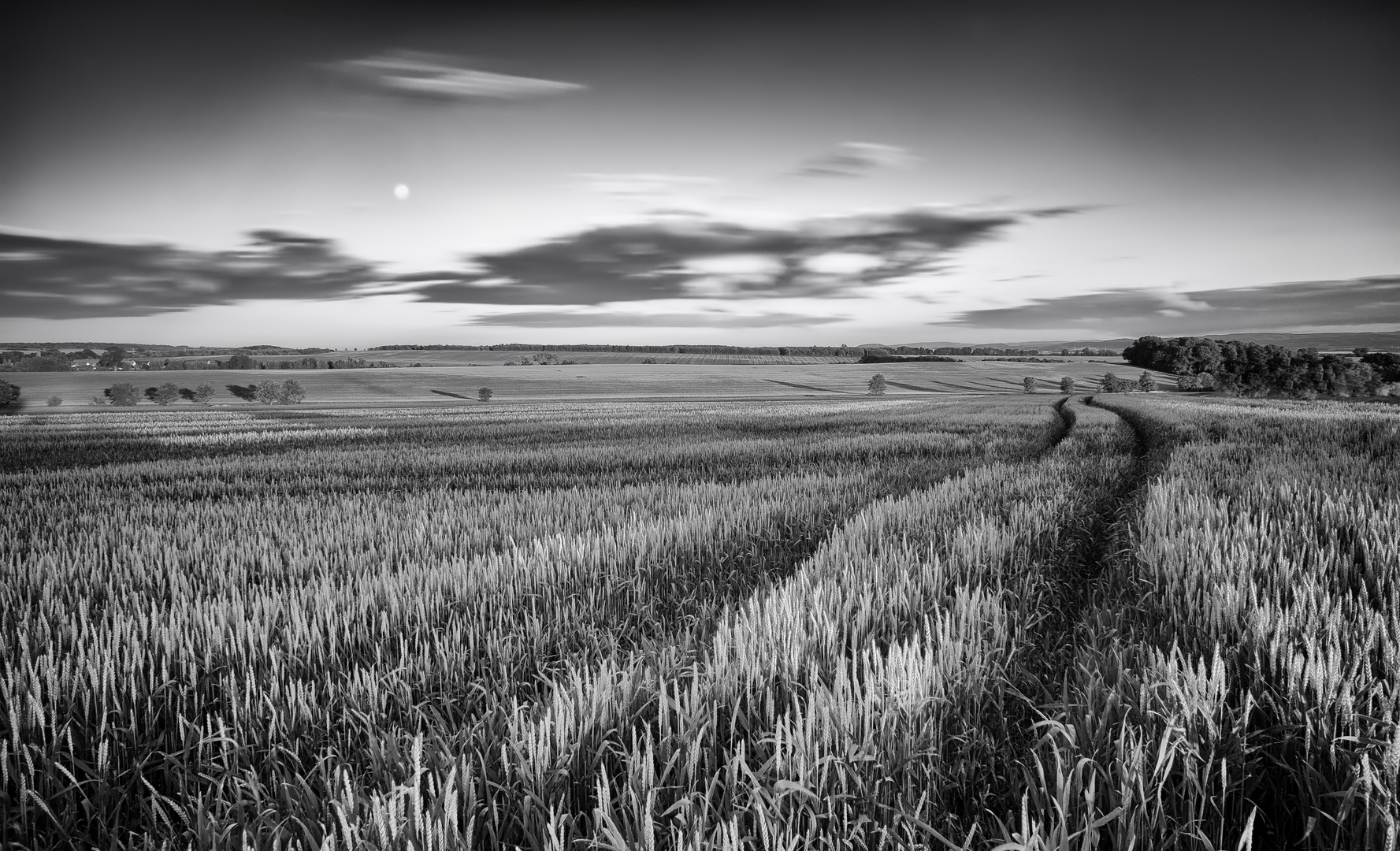 Catcher in the Rye Foto & Bild | landschaft, Äcker, felder & wiesen ...