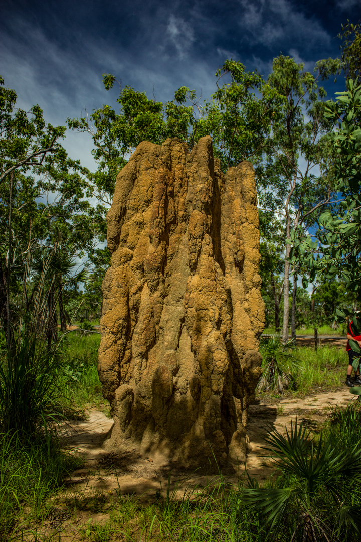 Cathedral Termite Mount Foto & Bild | australia, nature, wald Bilder ...