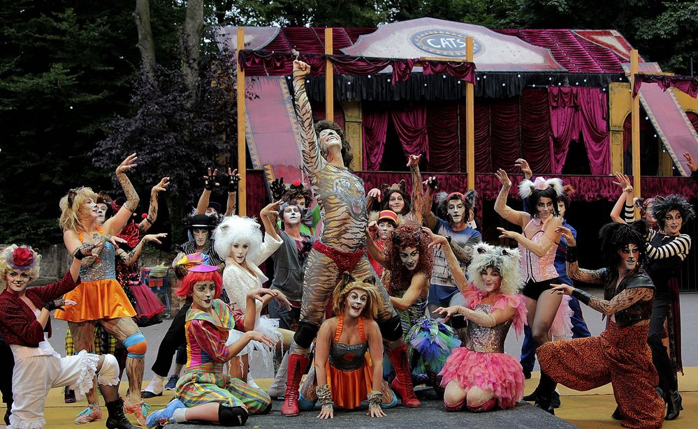 CATS 2015* Foto & Bild | erwachsene menschen, gruppen, mehrere menschen Bilder auf fotocommunity