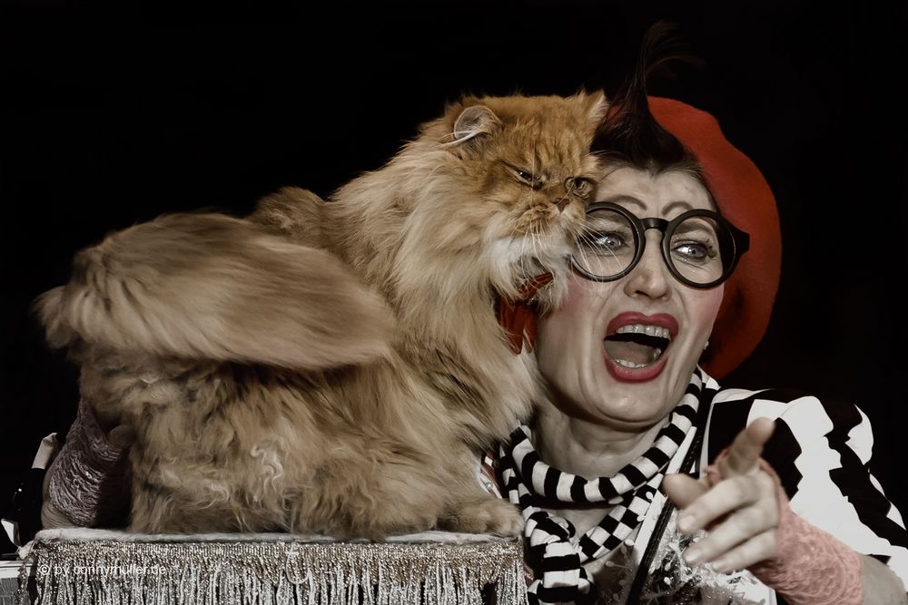 Catwoman Foto & Bild | circus probst, revierpark nienhausen, olga ...