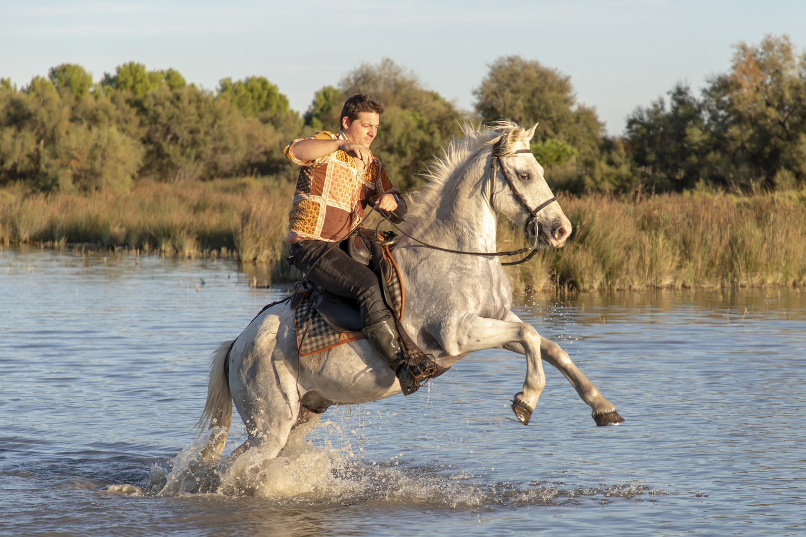 Cavalier photo et image | france, nature, world Images fotocommunity