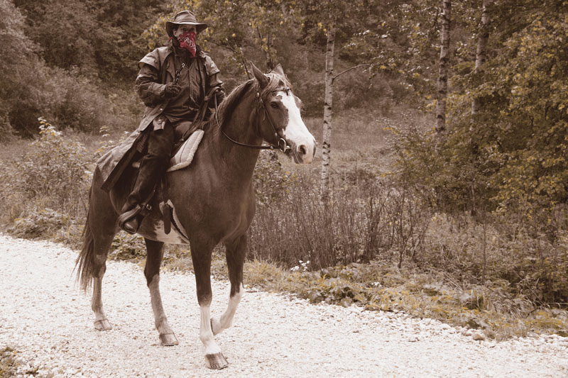 Cavalier photo et image | animaux, animaux domestiques, les chevaux ...