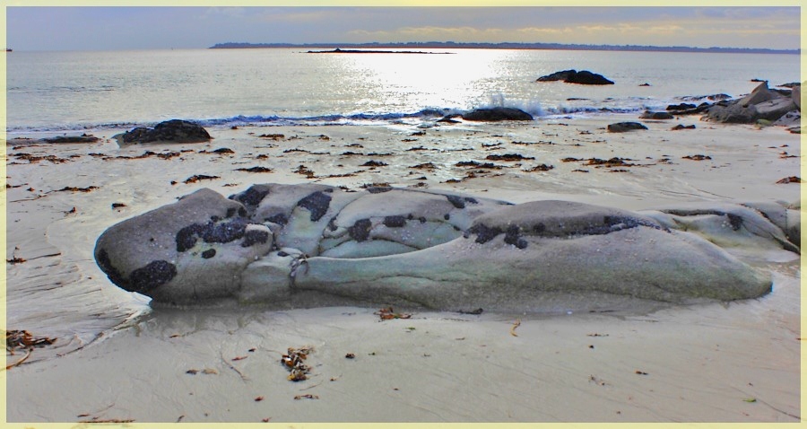 Ce rocher ressemble à un animal photo et image | paysages, mers et ...