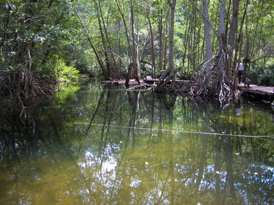 Celestun 4 Foto & Bild | mexiko Bilder auf fotocommunity