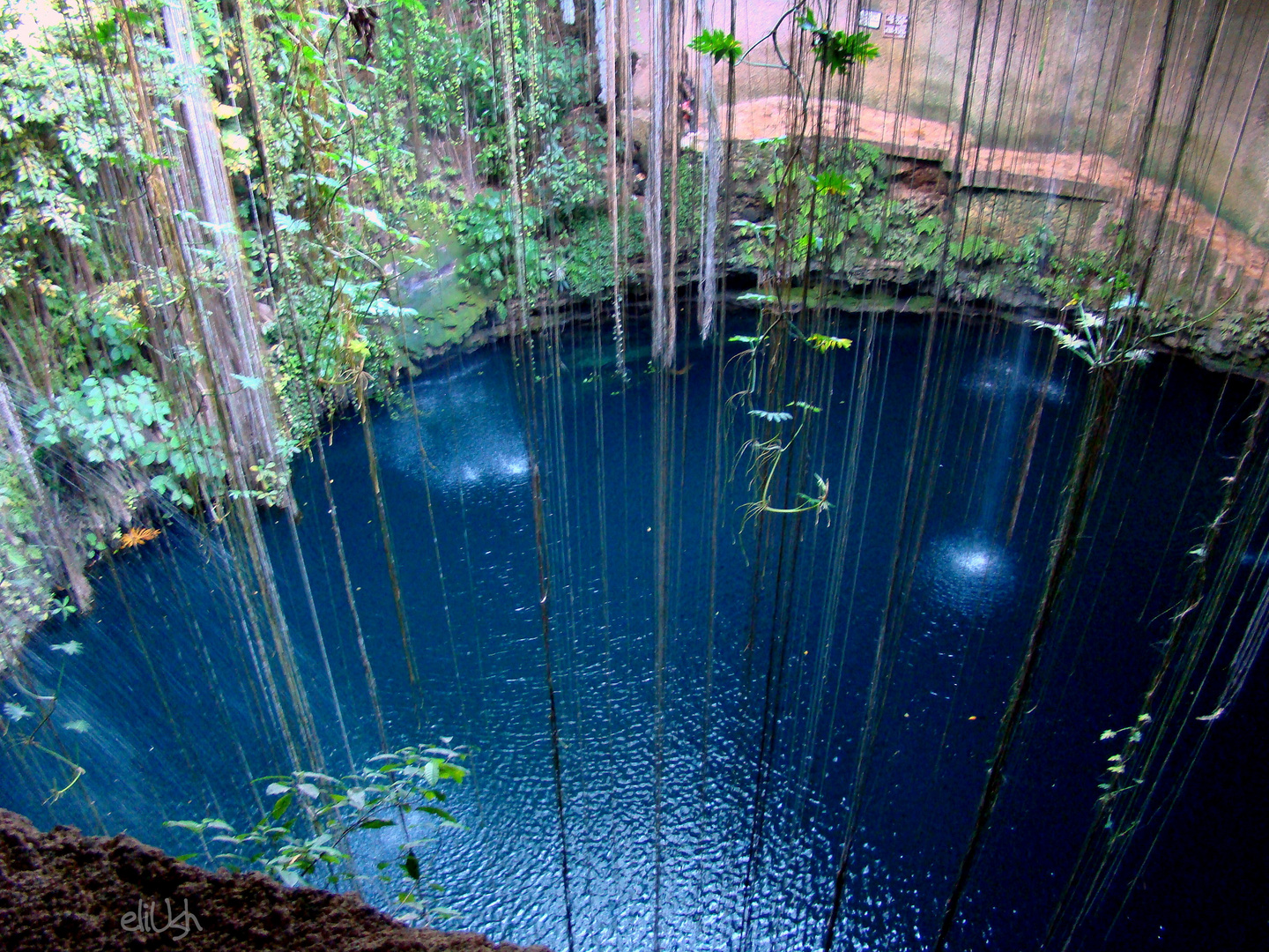 Cenote Ikil Imagen & Foto | naturaleza diversa , méxico, naturaleza ...