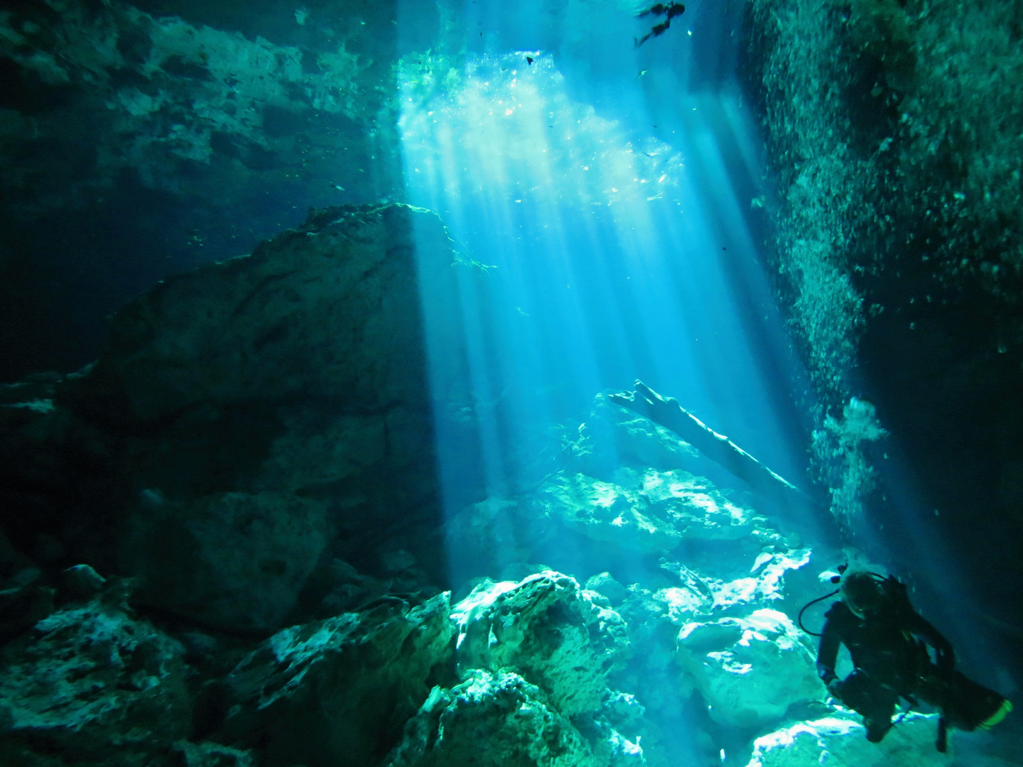 Cenote Tajma Ha Foto & Bild | world, wasser, natur Bilder auf fotocommunity