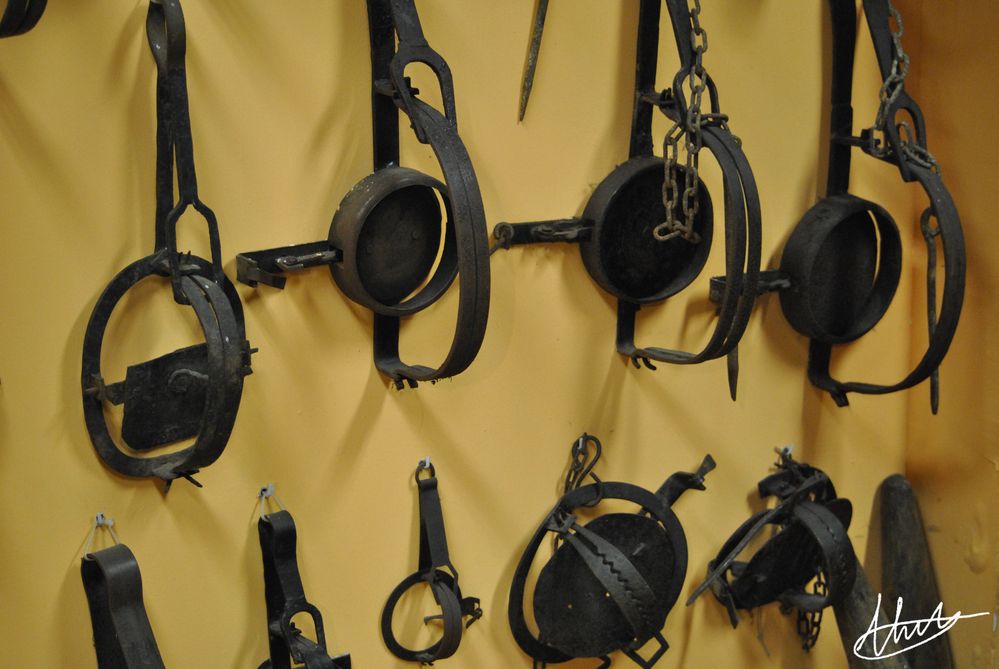 Cepos Imagen & Foto | europe, spain, cantabria, baskenland, navarra ...