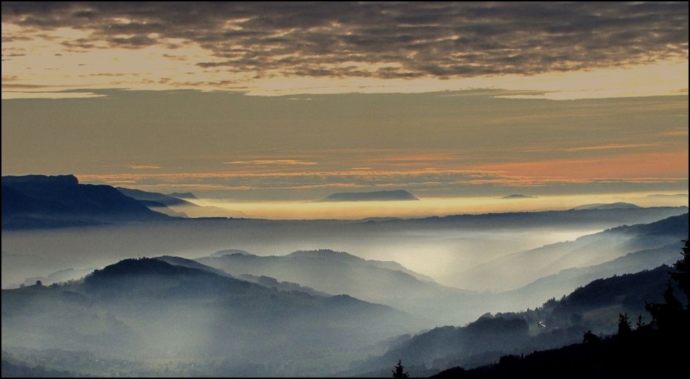 Cet après-midi au Forchat ( près de Thonon les bains ) photo et image ...