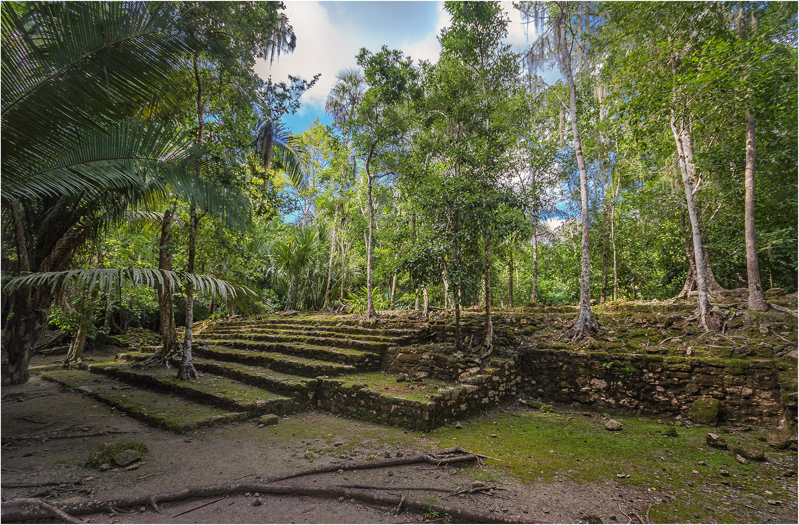 Chacchoben II ... Foto & Bild | world, wald, natur Bilder auf fotocommunity