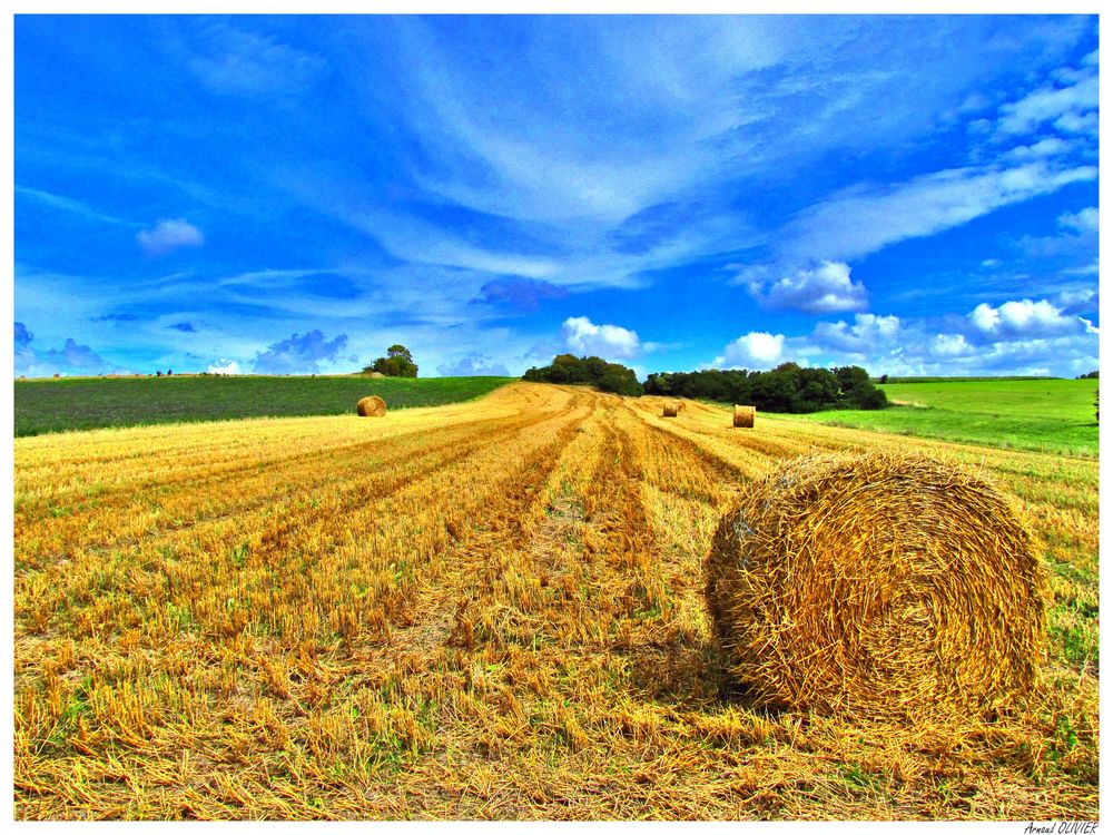 Champ après moissons... photo et image | paysages, paysages de campagne ...