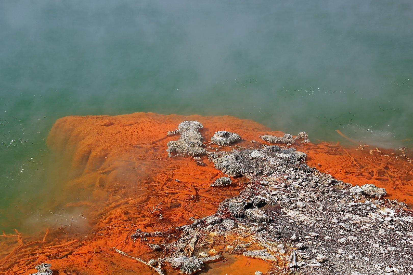 Champagne Pool Foto & Bild | australia & oceania, new zealand, bay of ...