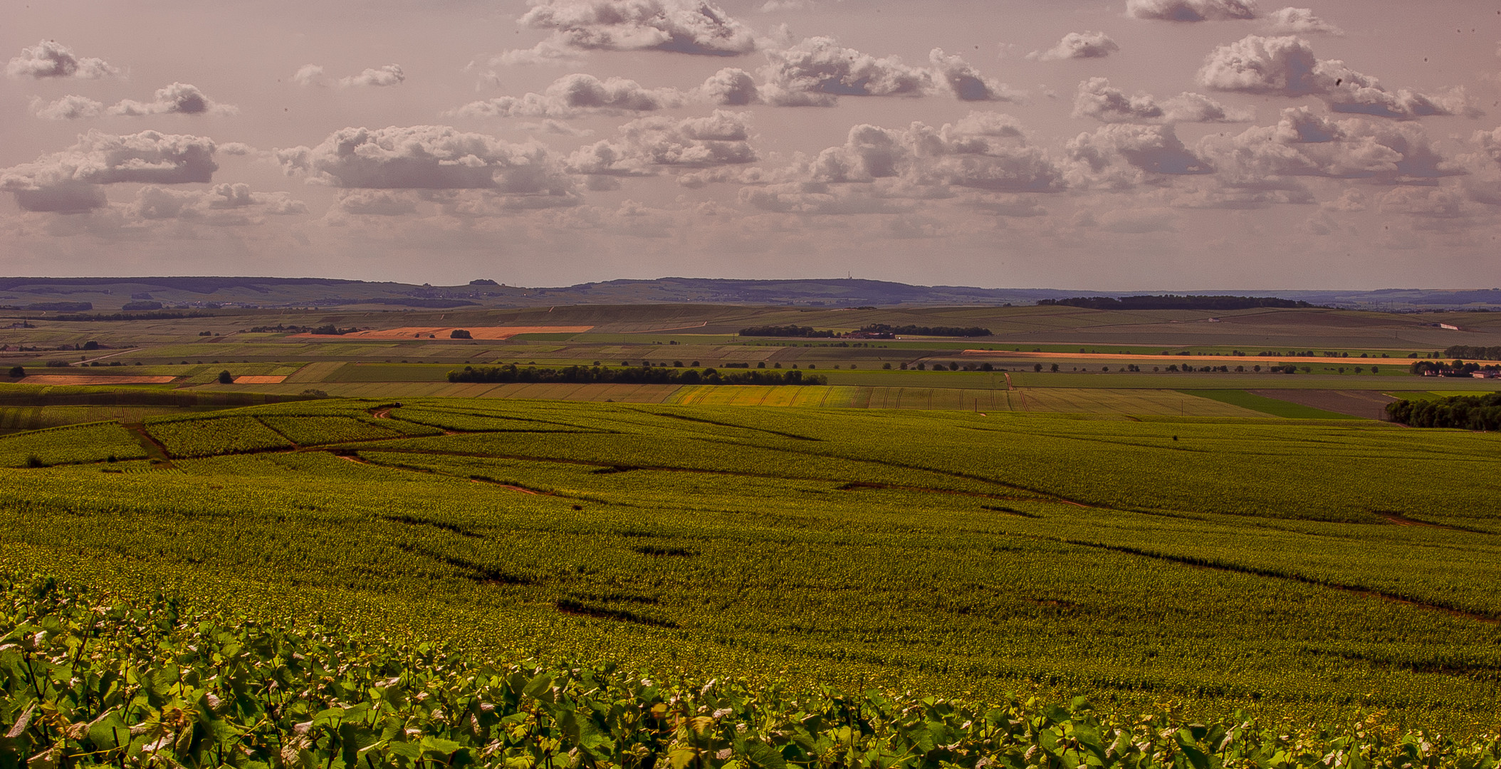 champagne _ VIGNES photo et image | nature, nuages, campagne Images ...