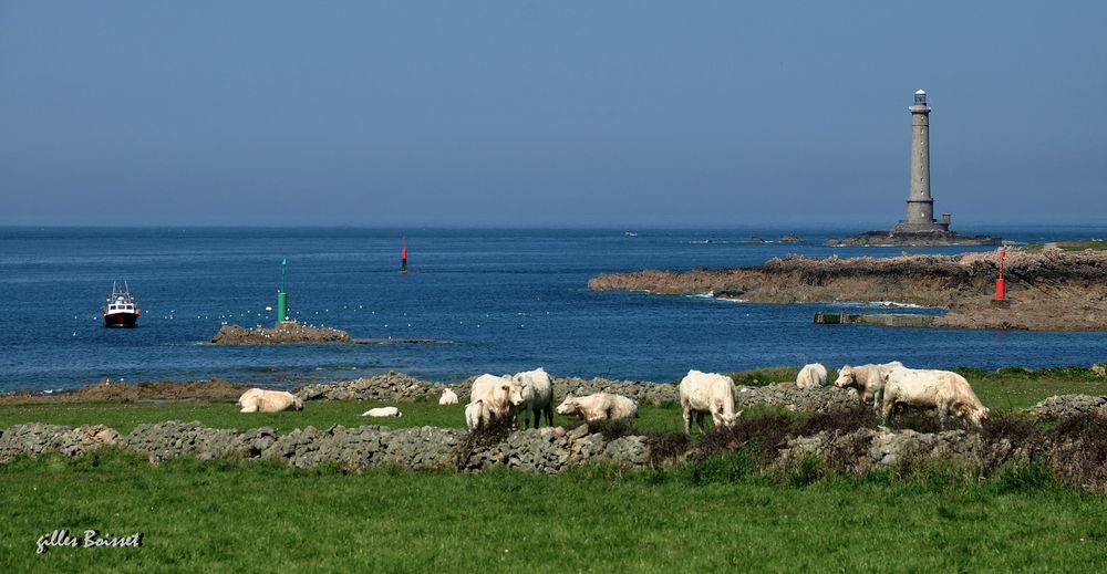 champs de mer photo et image | europe, france, normandie Images ...