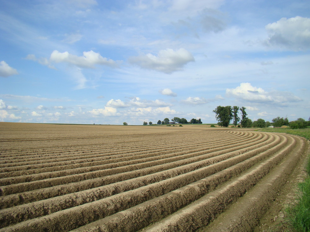 Champs photo et image | paysages, paysages de campagne, nature Images ...