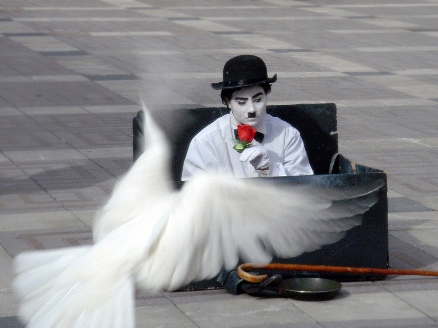 Charlie Chaplin Pantomime (Mallorca 2009) Foto & Bild | erwachsene ...