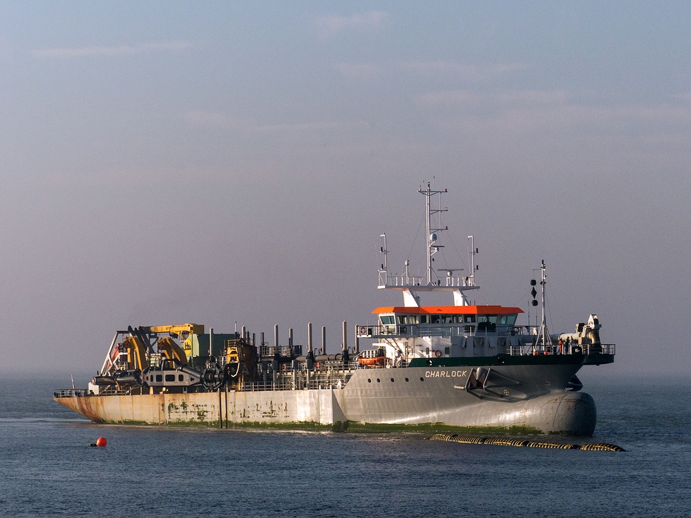 CHARLOCK Foto & Bild | Bilder auf fotocommunity