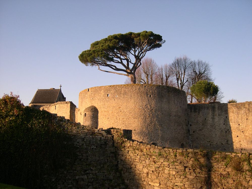 Chateau de Clisson photo et image | architecture, châteaux, sujets ...