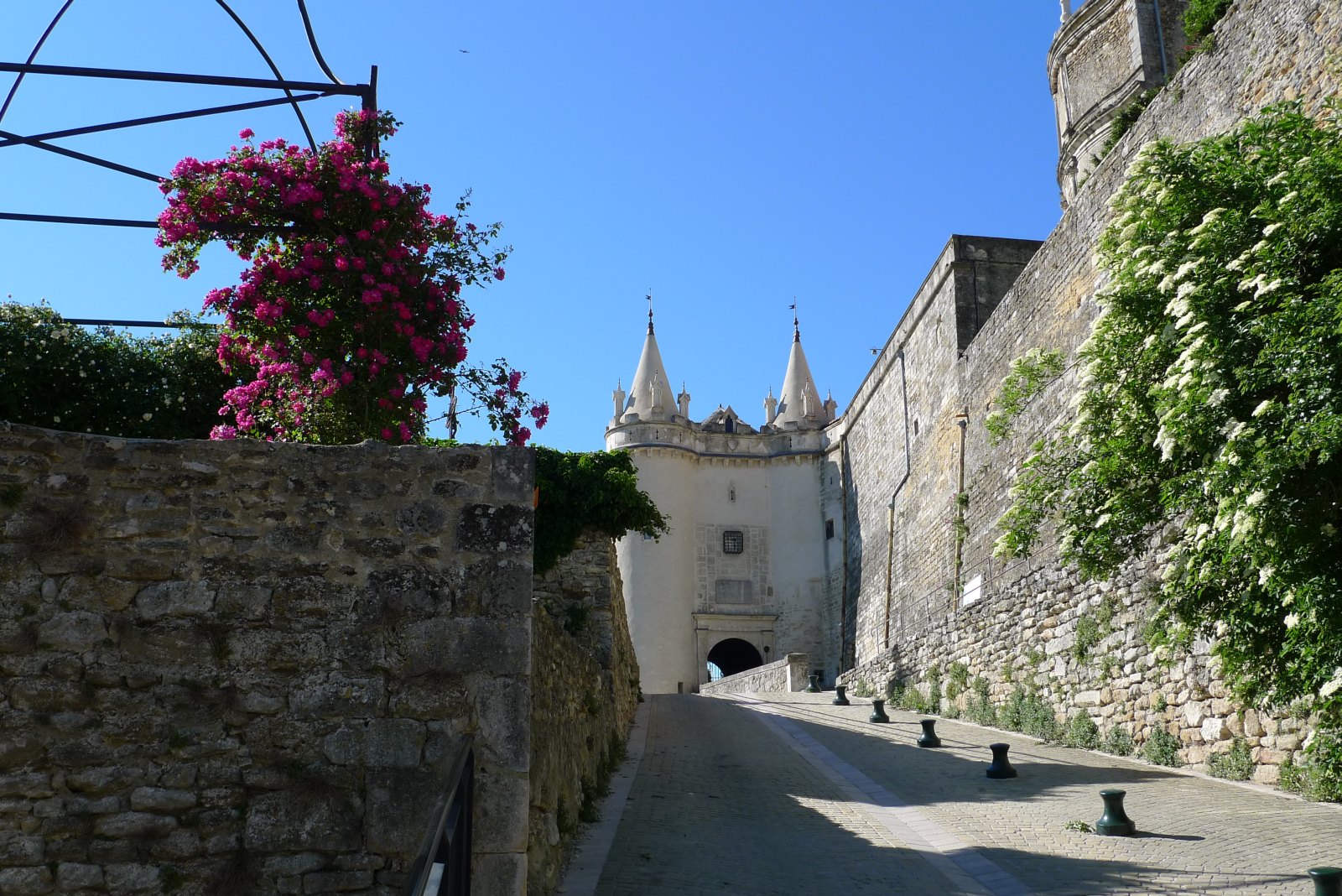 Chateau de Grignan photo et image | europe, france, provence-alpes-côte ...