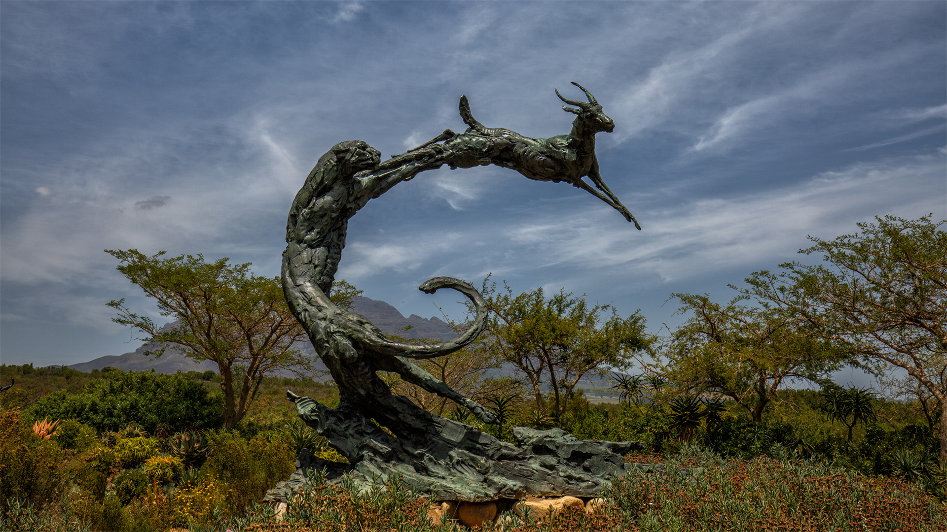 Cheetah & Springbok Foto & Bild | africa, southern africa, south africa ...