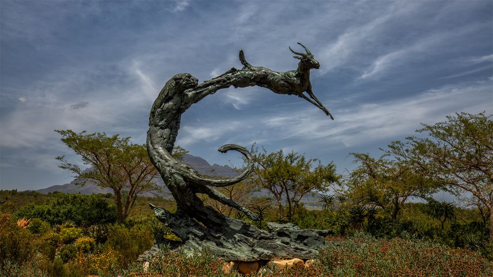 Cheetah & Springbok Foto & Bild | africa, southern africa, south africa ...