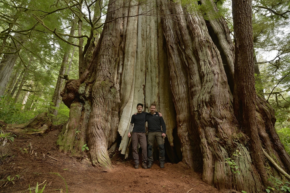 Cheewhat Lake Cedar | Vancouver Island 2014