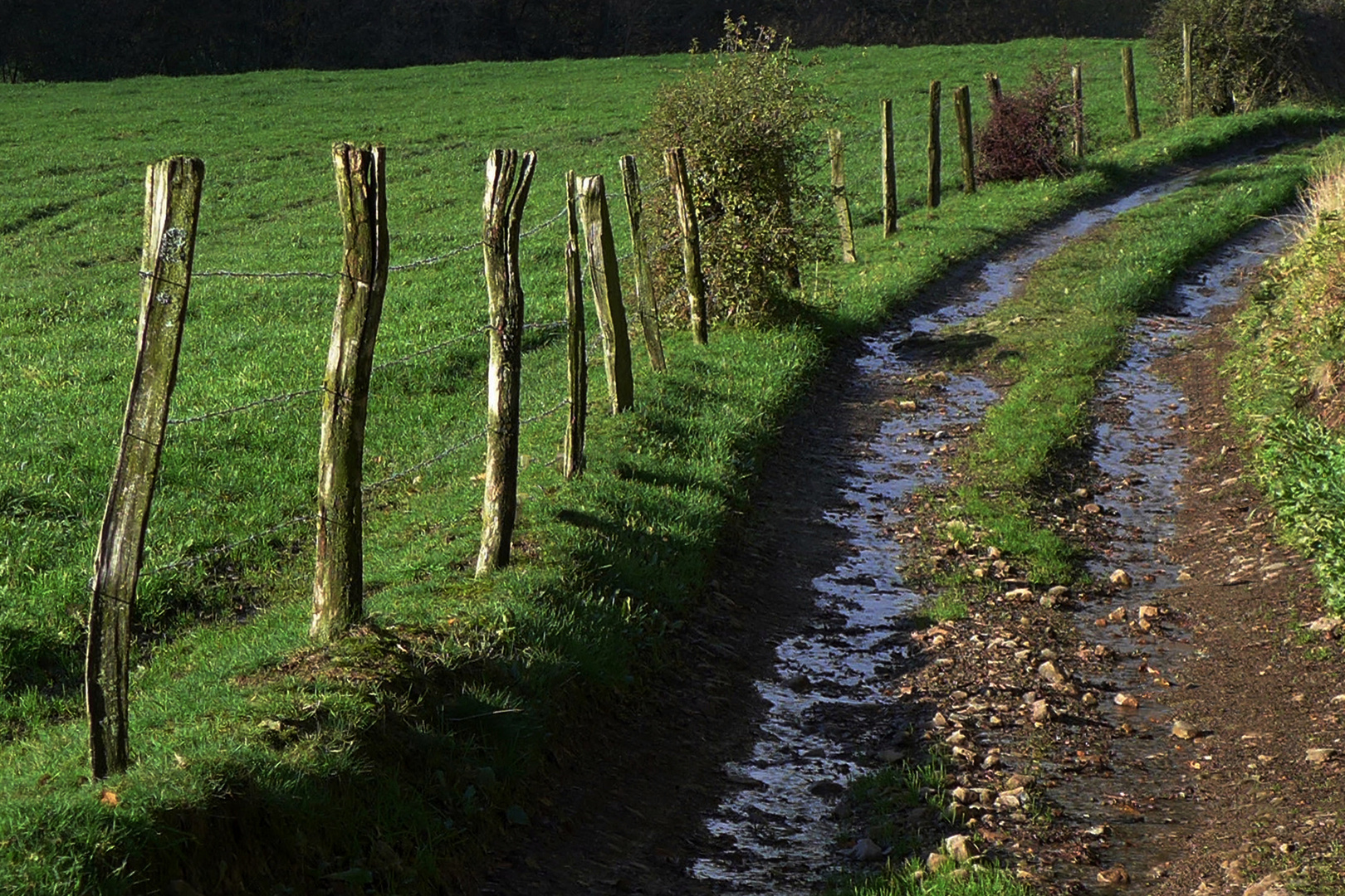 Chemin de campagne photo et image | paysages, paysages de campagne ...