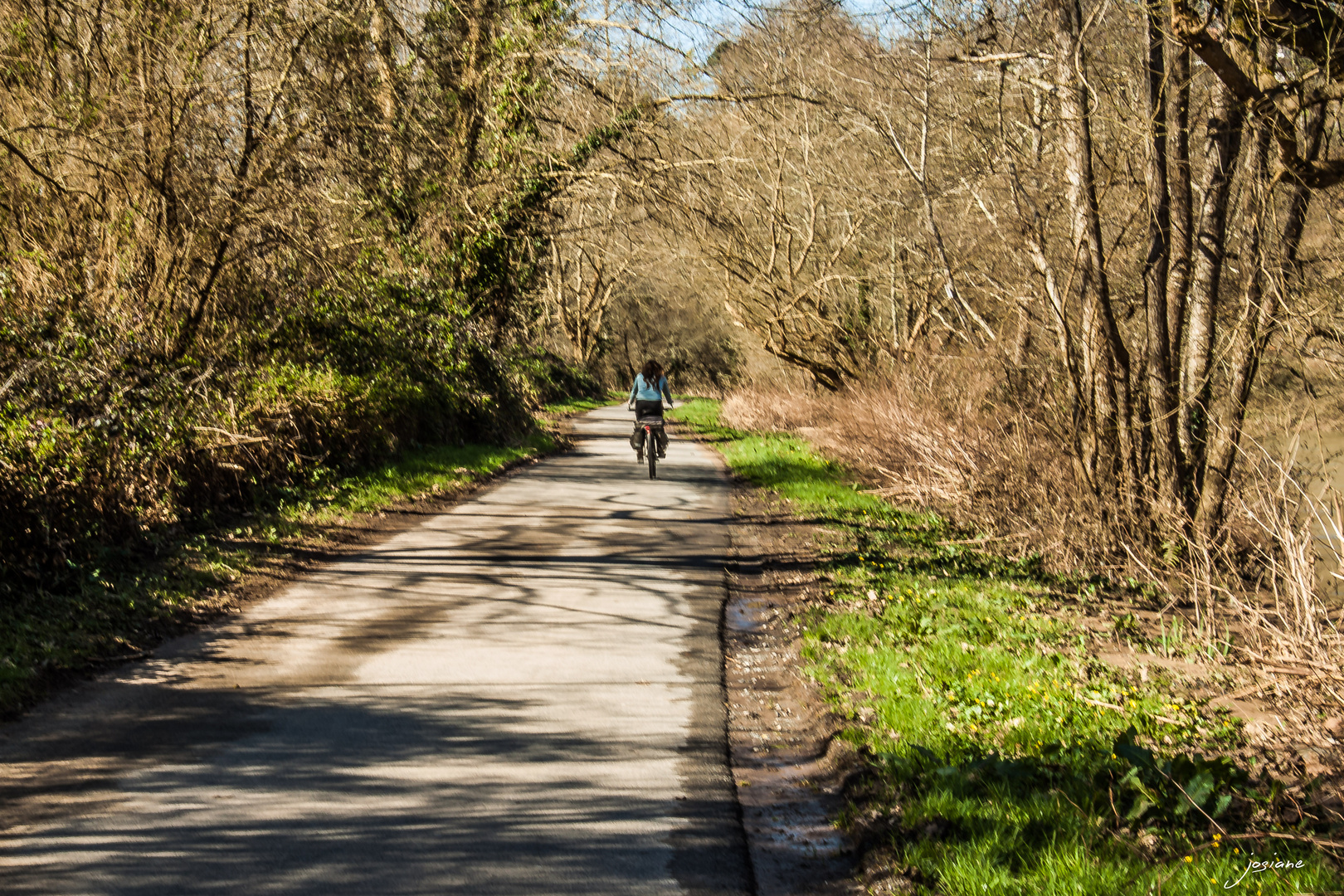 CHEMIN DE HALAGE photo et image | nature, paysage, arbre Images ...