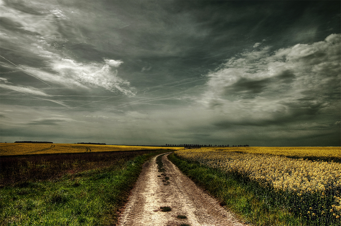 Chemin faisant photo et image | paysages, nature Images fotocommunity