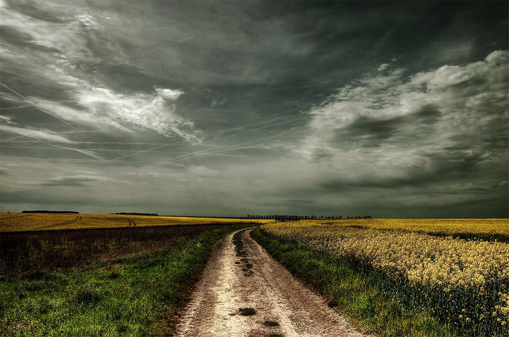 Chemin faisant photo et image | paysages, nature Images fotocommunity