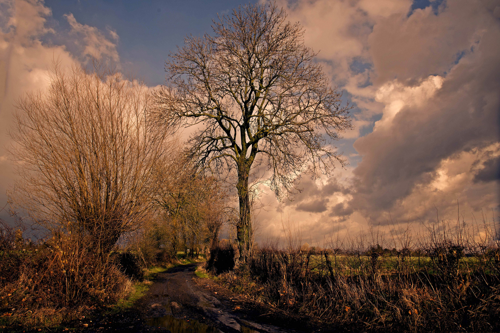 Chemin rural photo et image | paysages, paysages de campagne, nature ...