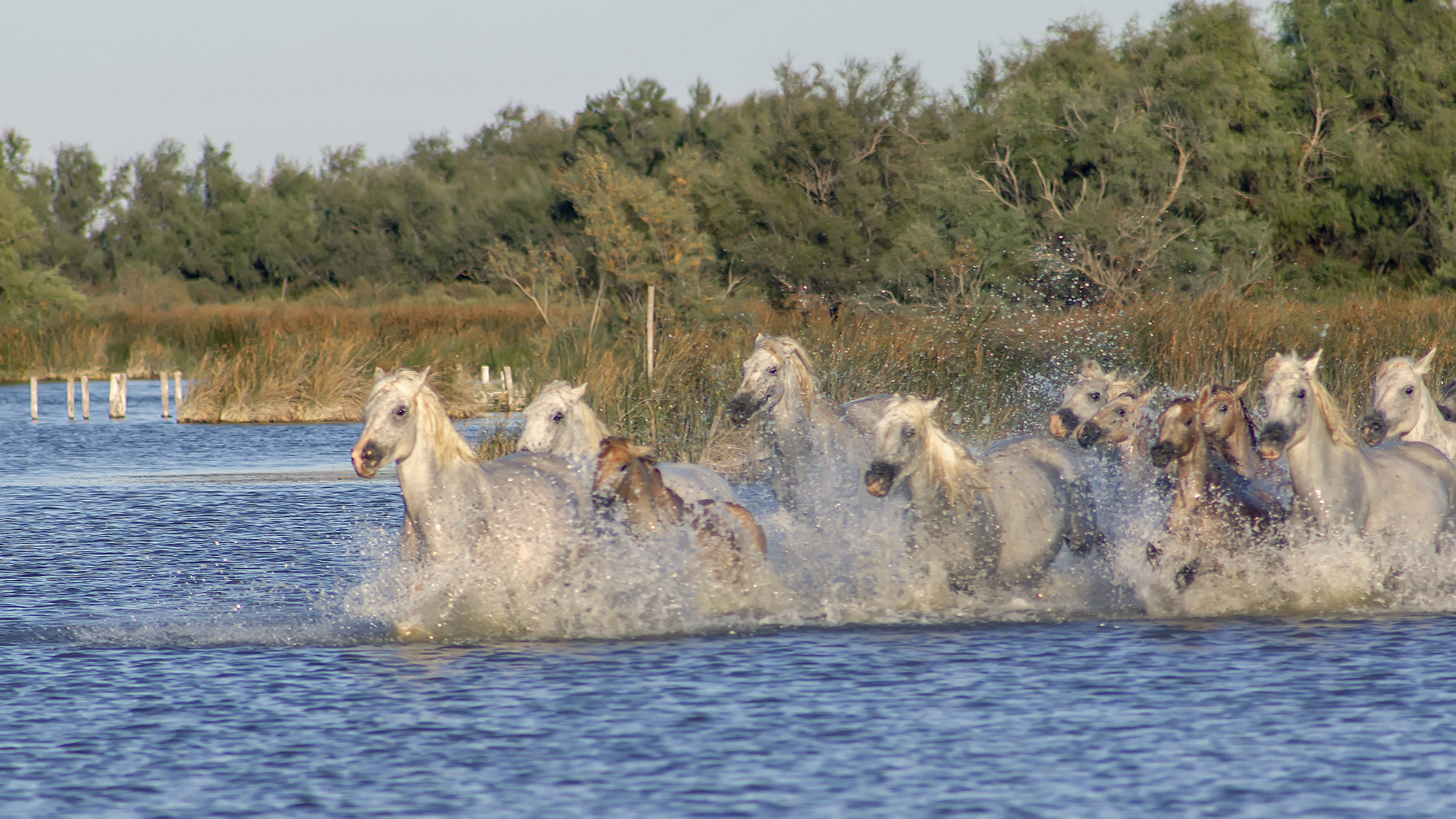 Chevauchée 2 photo et image | france, nature, world Images fotocommunity