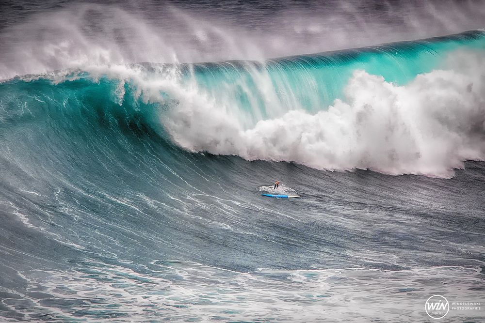 Chicken Dive Foto & Bild | europe, portugal, world Bilder auf fotocommunity