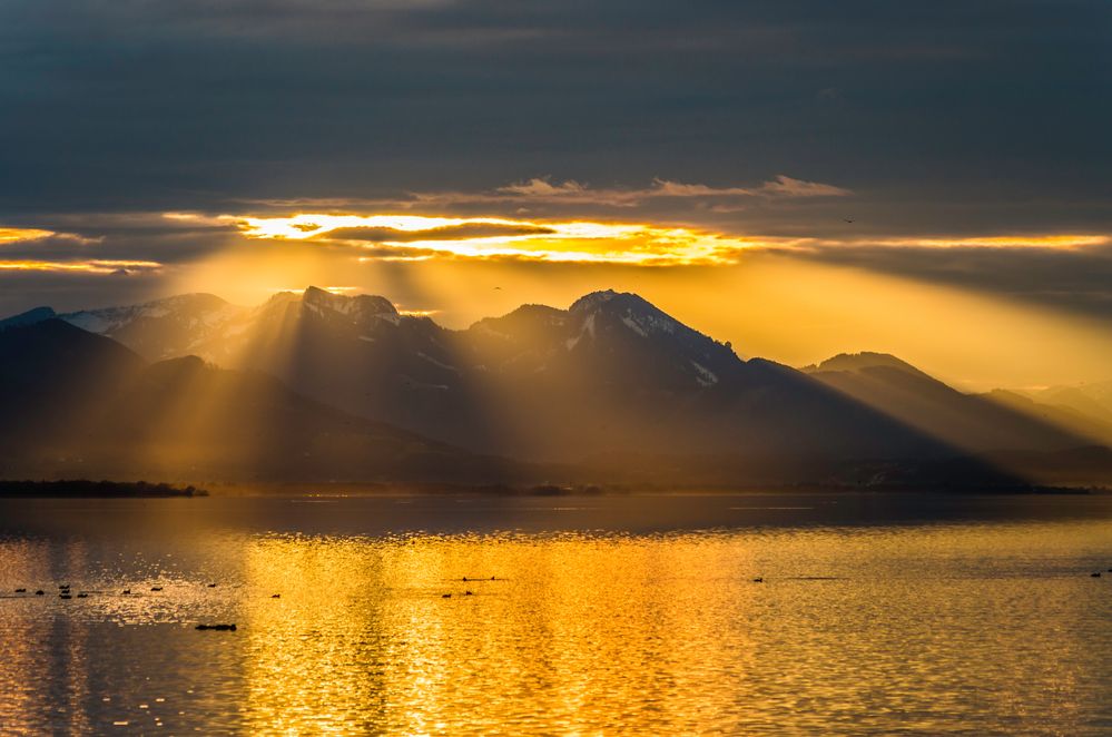 Chiemsee Leuchten Foto & Bild | landschaft, bach, fluss & see, see, teich & tümpel Bilder auf ...