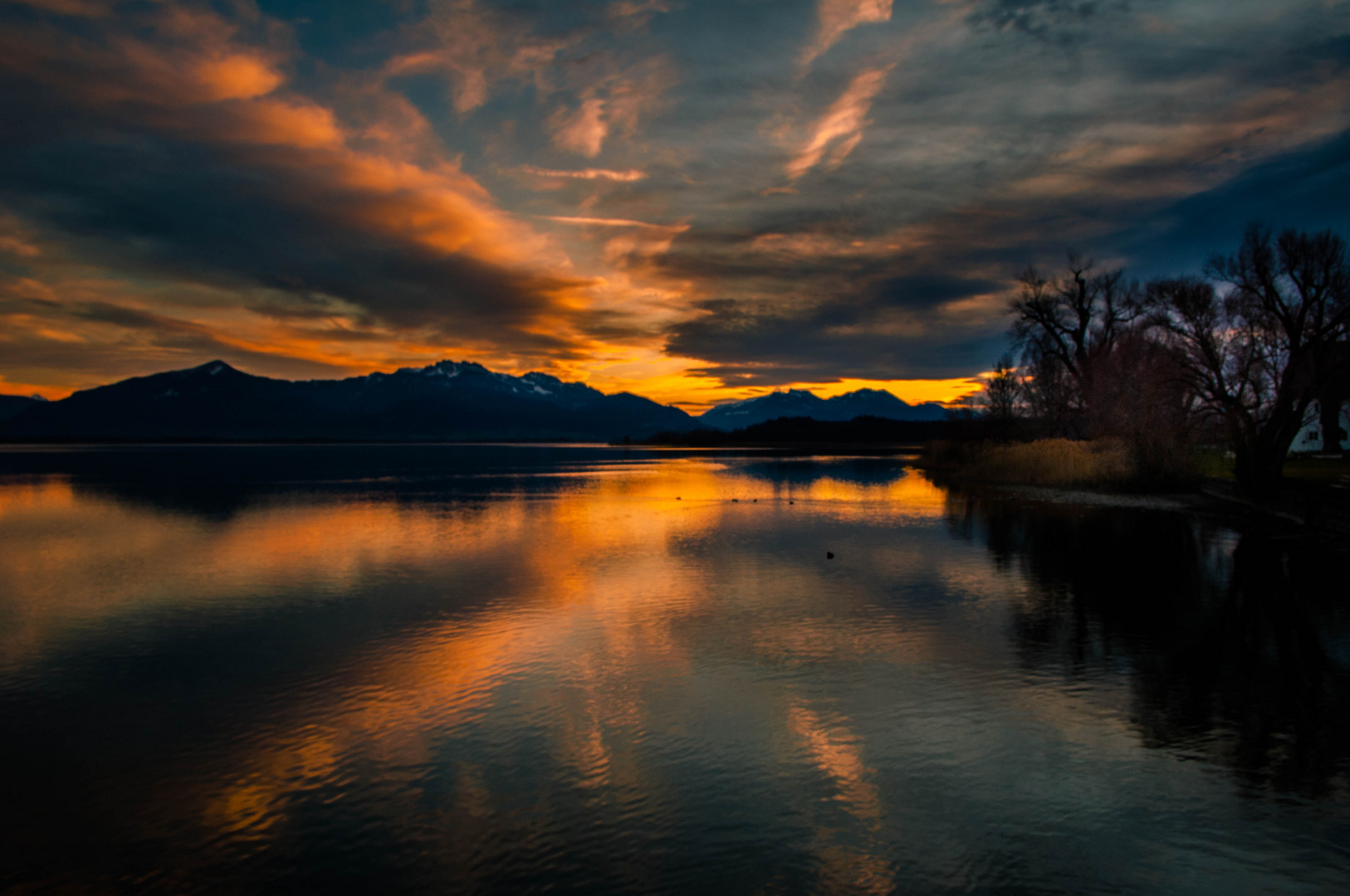 Chiemsee mit Chiemgauer Alpen Foto & Bild | landschaft, bach, fluss & see, see, teich & tümpel ...
