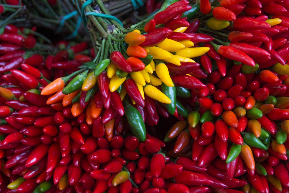 Chilischoten Foto & Bild | reportage dokumentation, stillleben, food ...