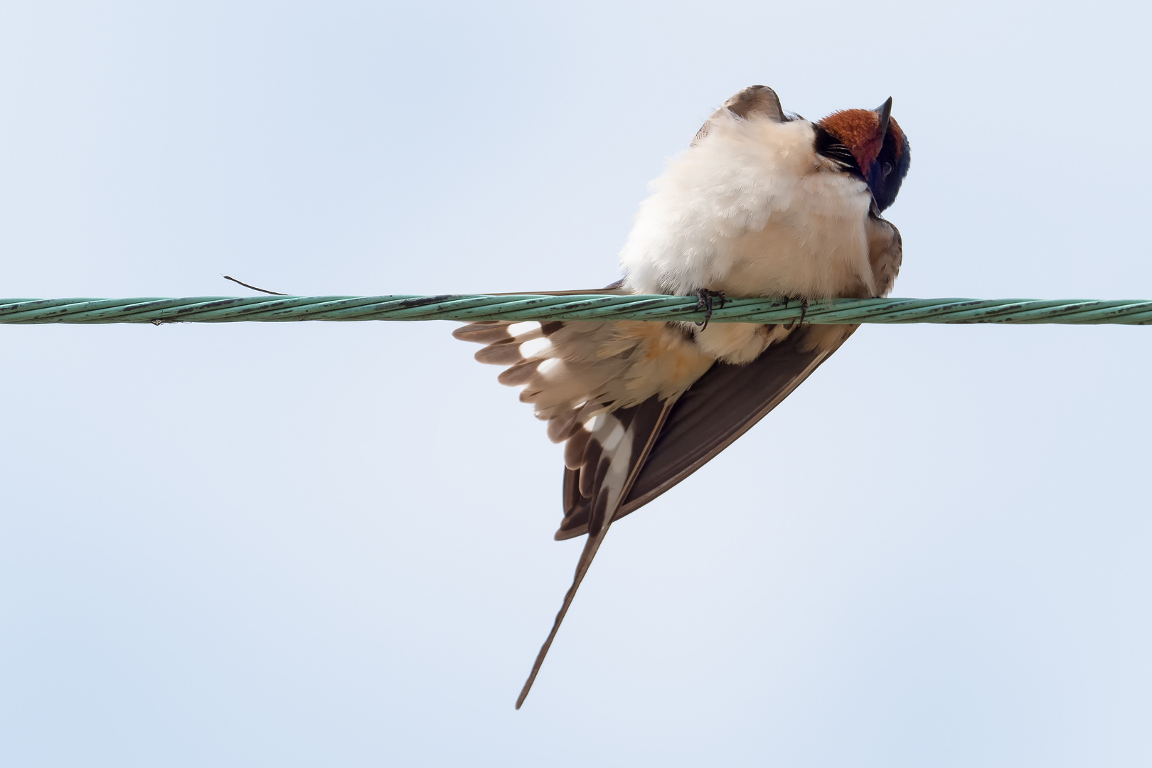 chillen Foto & Bild | deutschland, europe, brandenburg Bilder auf ...