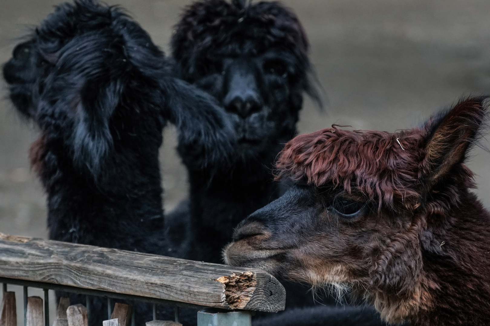 Chillen Foto & Bild | natur Bilder auf fotocommunity