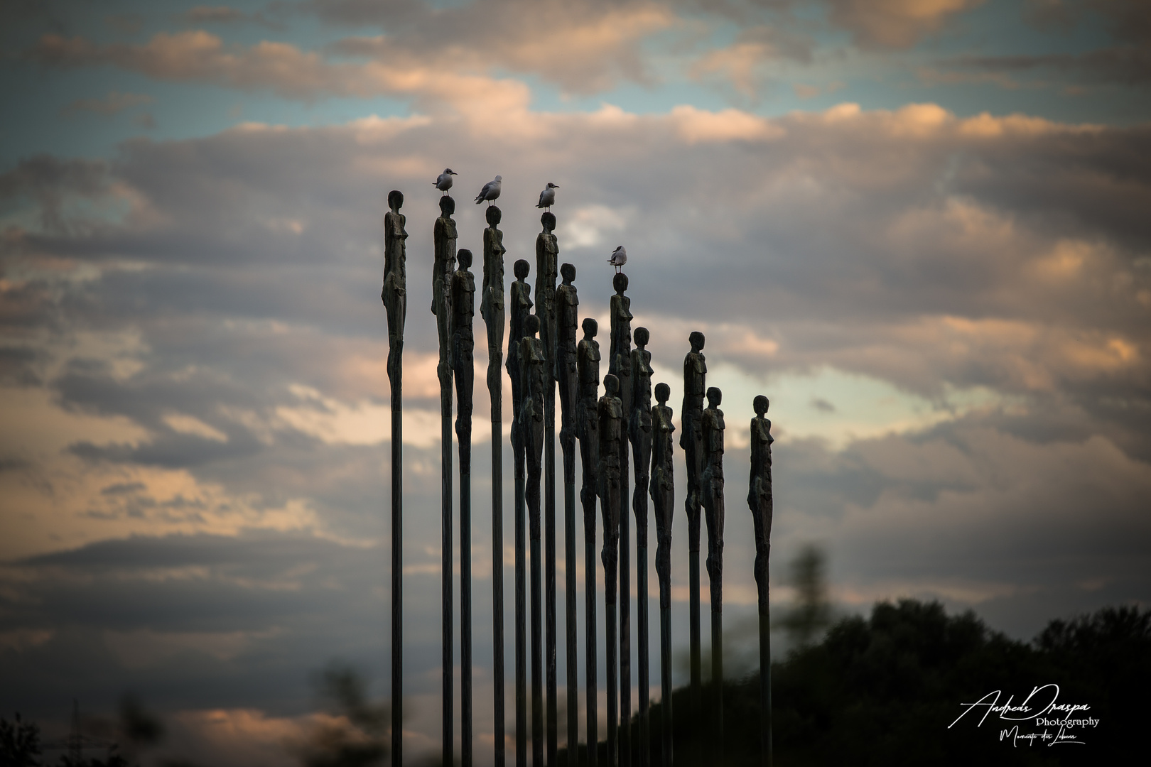 Chillen Foto & Bild | landschaft, sonnenuntergänge, himmel Bilder auf ...