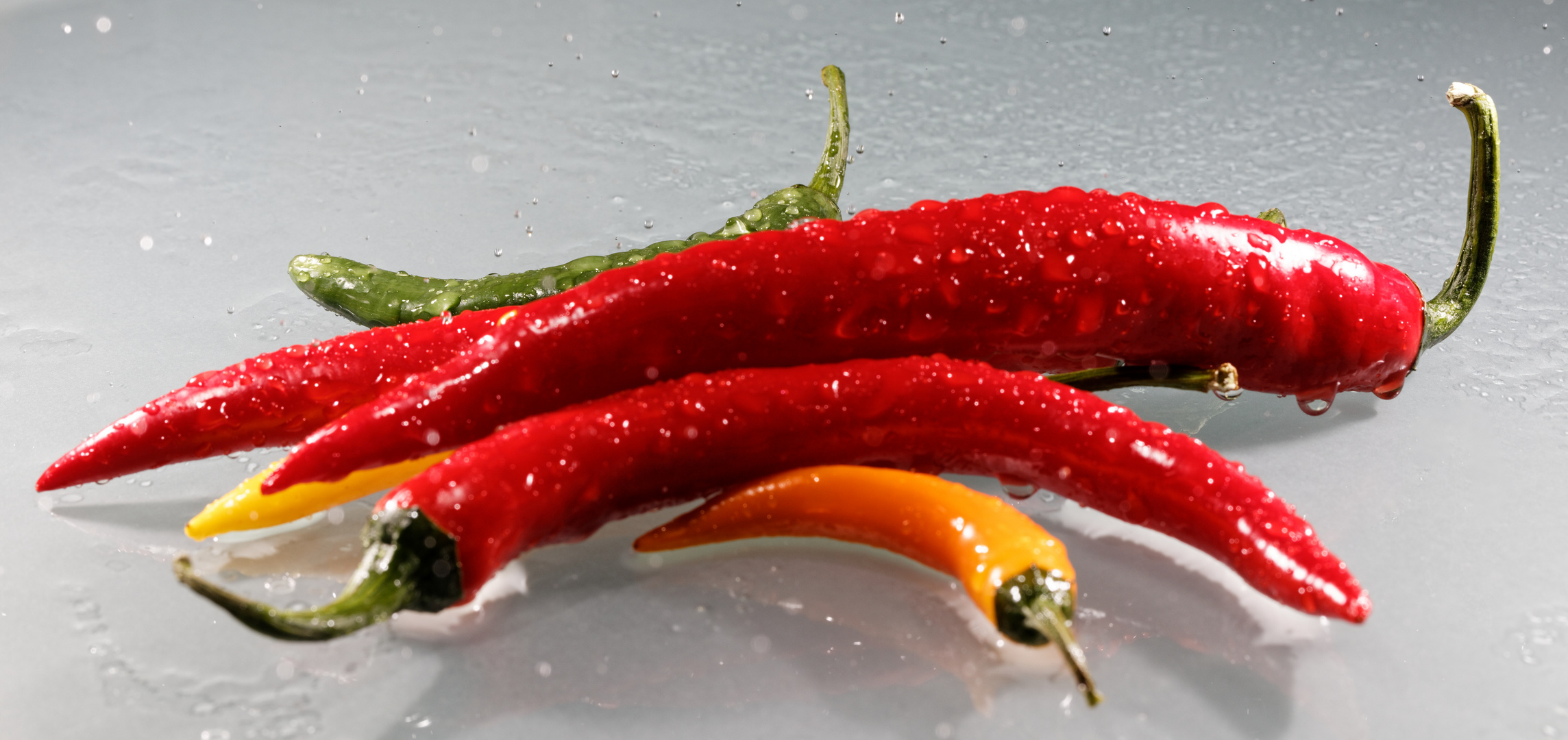 Chilli Foto & Bild | macro, stillleben, bunt Bilder auf fotocommunity